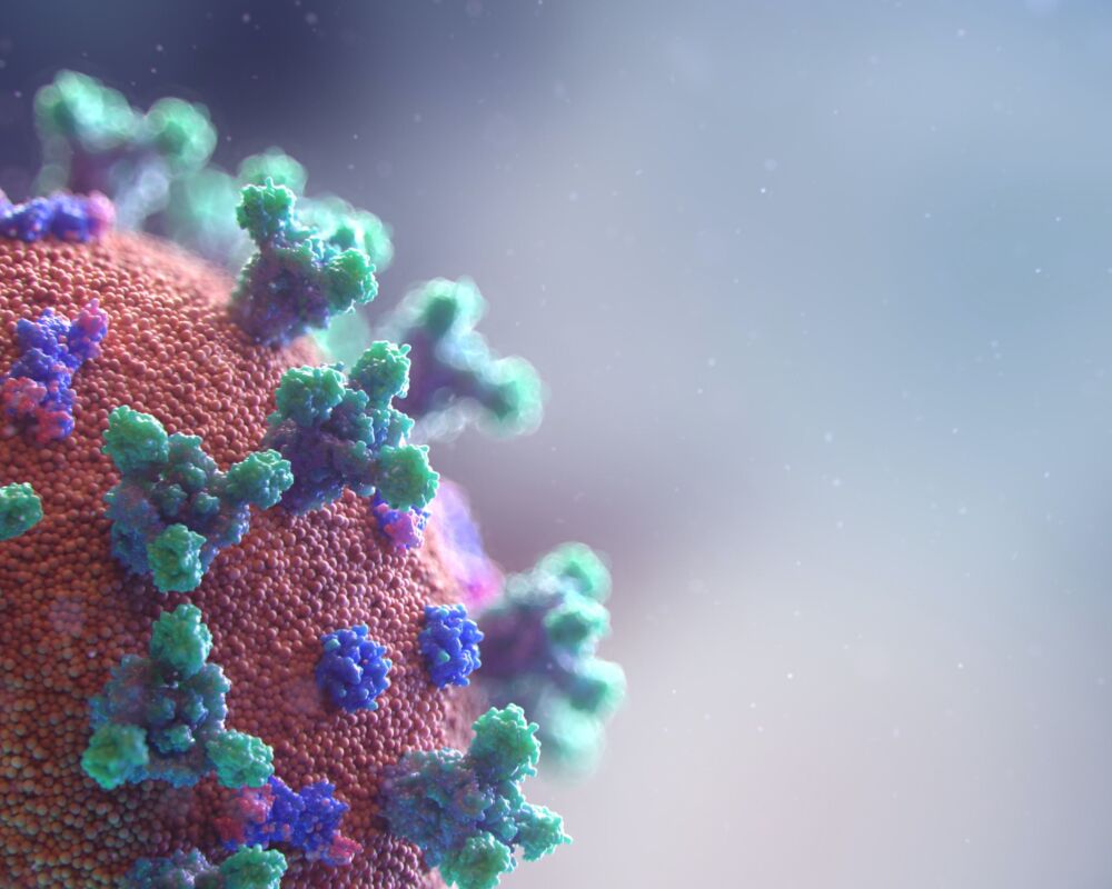 Viral infection: symptoms, causes & treatment – USZ