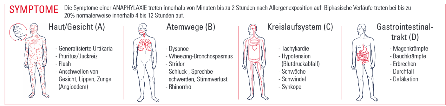 Insektengiftallergie – Universitätsspital Zürich