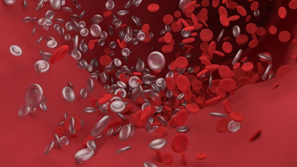 Thrombose – Universitätsspital Zürich