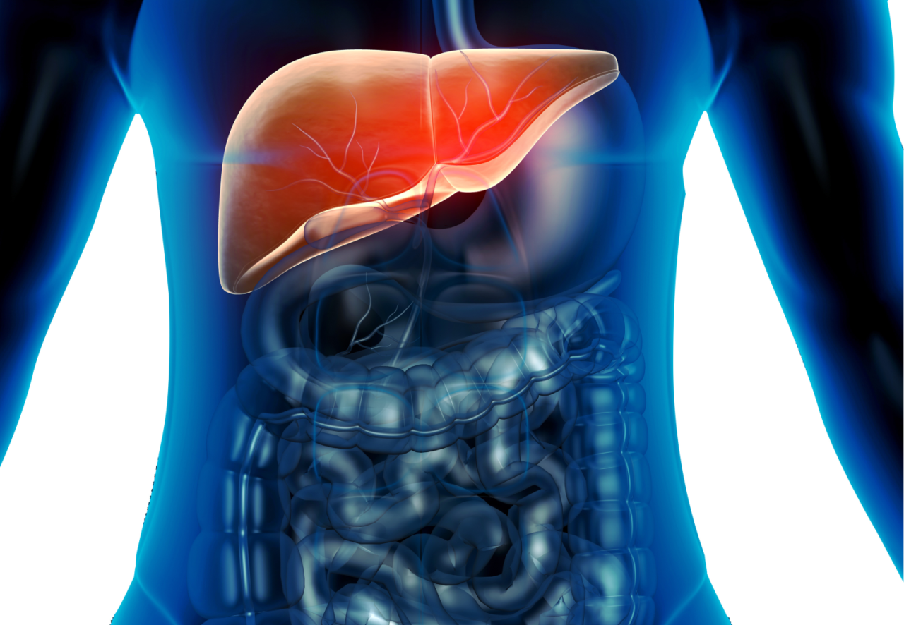 Liver & Biliary Tract: Diseases & Treatment – USZ